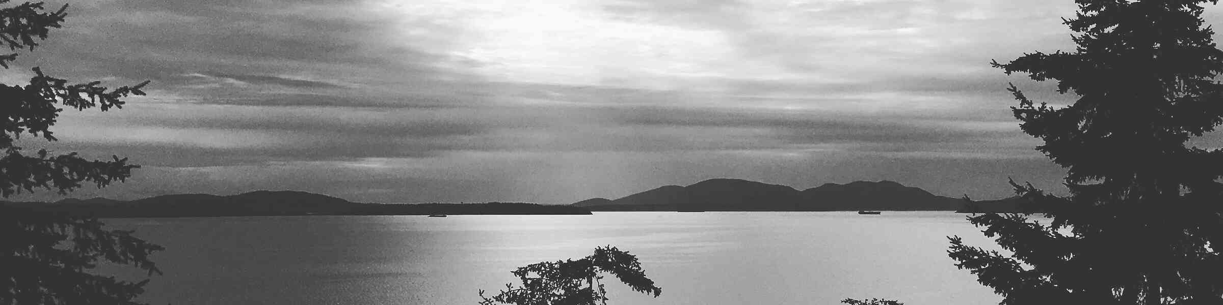 Taylor Hardman Shop | Redbubble