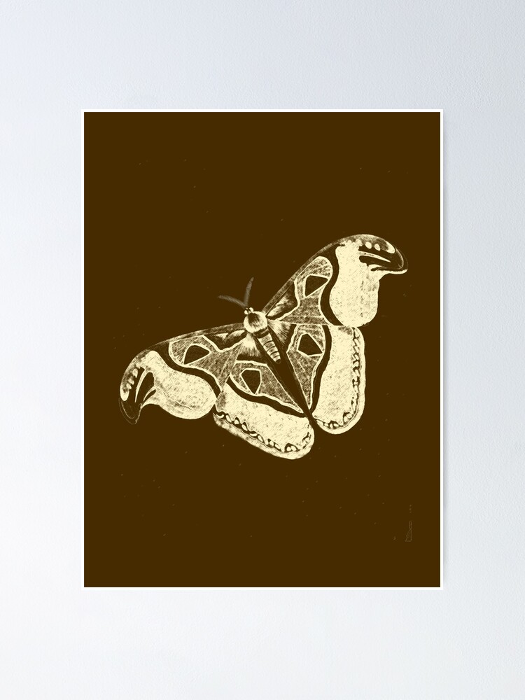 "Gypsy moth pattern, chocolate brown and beige" Poster by Marymarice ...