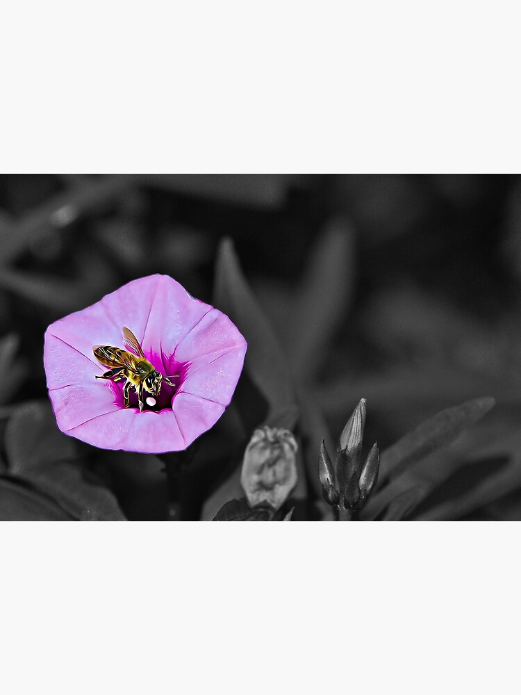 "Bee Bee Design In A Purple Flower Desaturated Background Bees" Poster ...