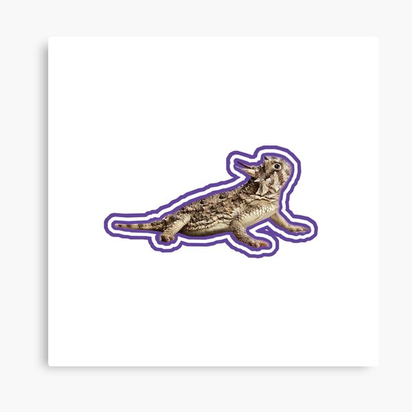 Tcu Canvas Prints | Redbubble