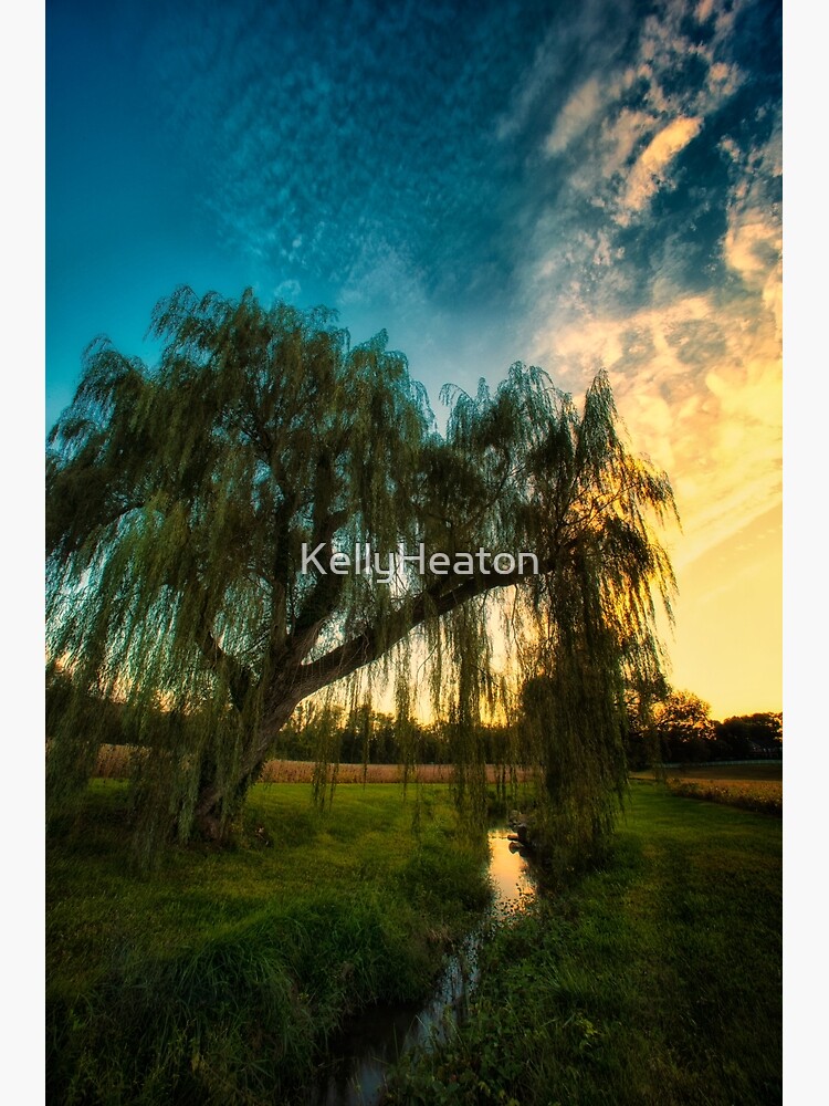 "Weeping Willow Tree Sunset" Poster for Sale by KellyHeaton | Redbubble