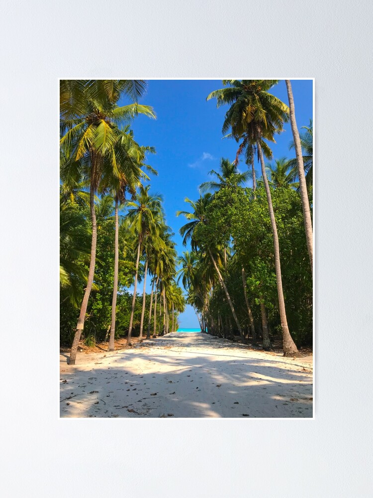 "Tropical Palm Tree Beach " Poster by newburyboutique | Redbubble