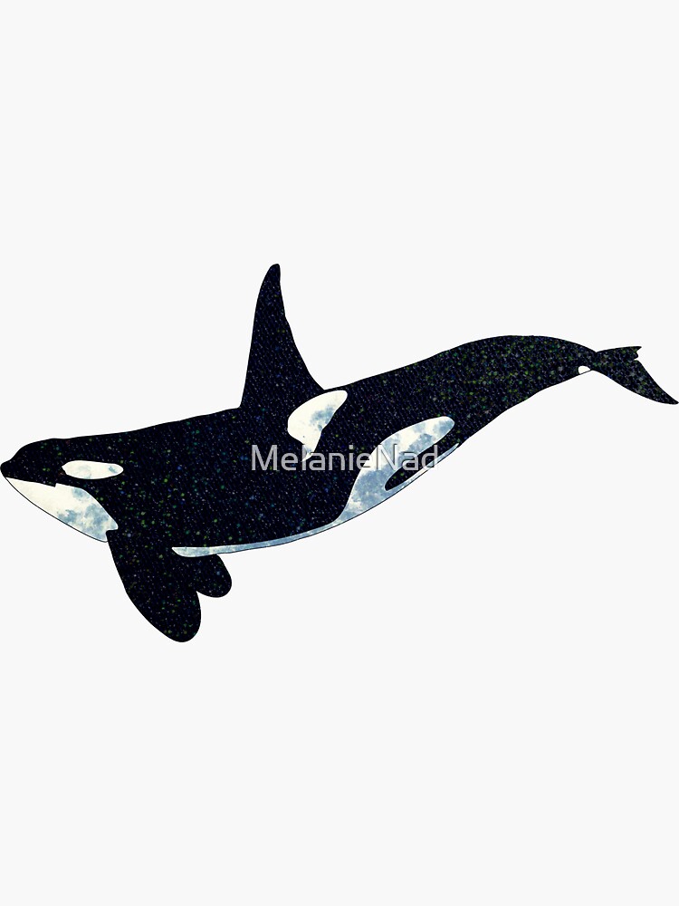 "Orca in shiny ocean" Sticker by MelanieNad | Redbubble