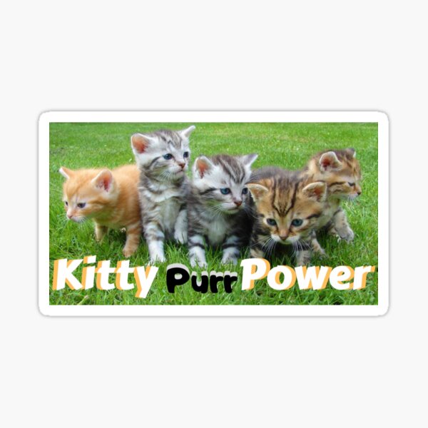"Kitty Purr Power" Sticker for Sale by Davepasq | Redbubble