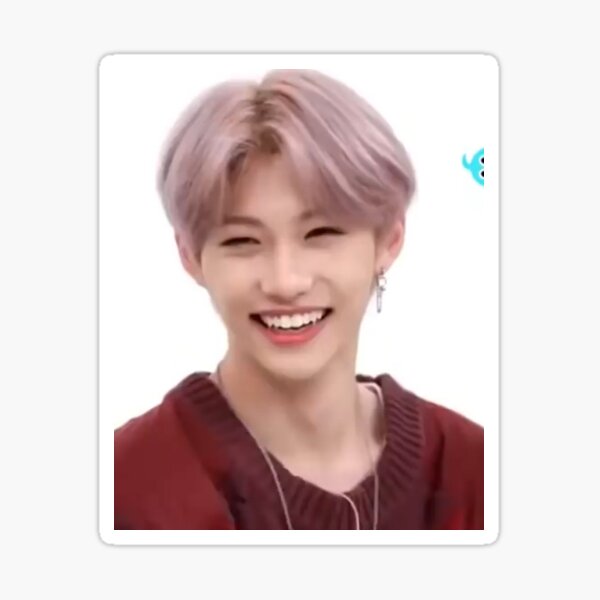 "Stray Kids SKZ Lee Felix" Sticker by JessIsBored | Redbubble