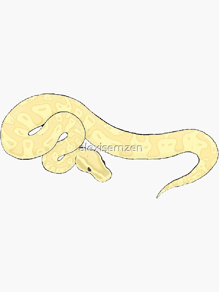 "Ball Python (Banana Butter)" Sticker by alexisernzen | Redbubble