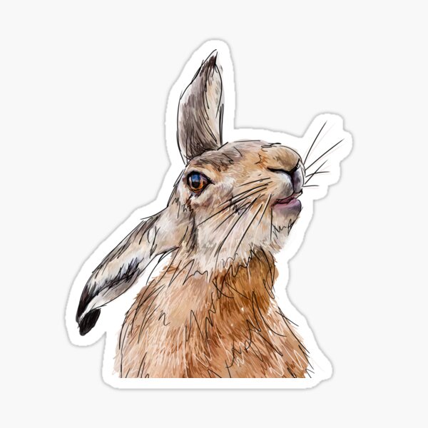 "Stoopid Hare" Sticker for Sale by bunchofroses | Redbubble
