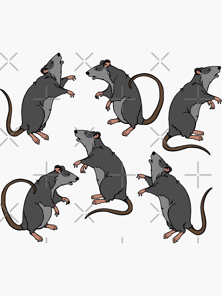"Dancing Rats" Sticker by KarenLincoln | Redbubble