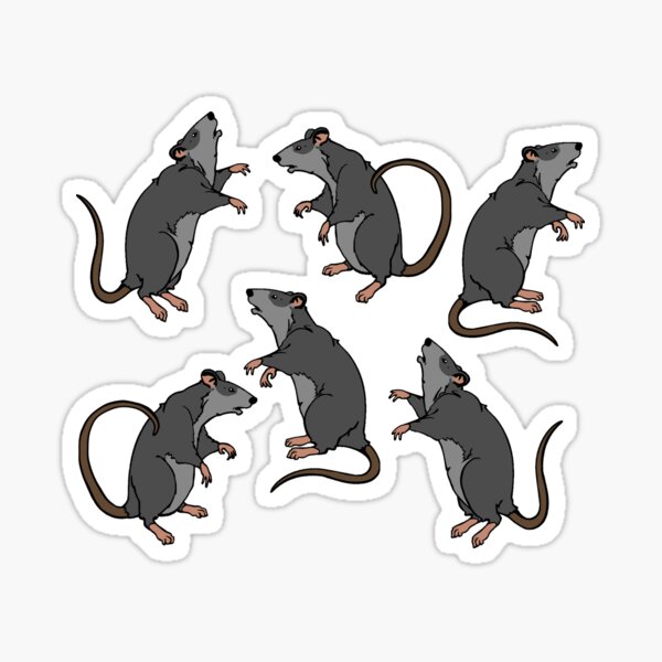 "Dancing Rats" Sticker by KarenLincoln | Redbubble