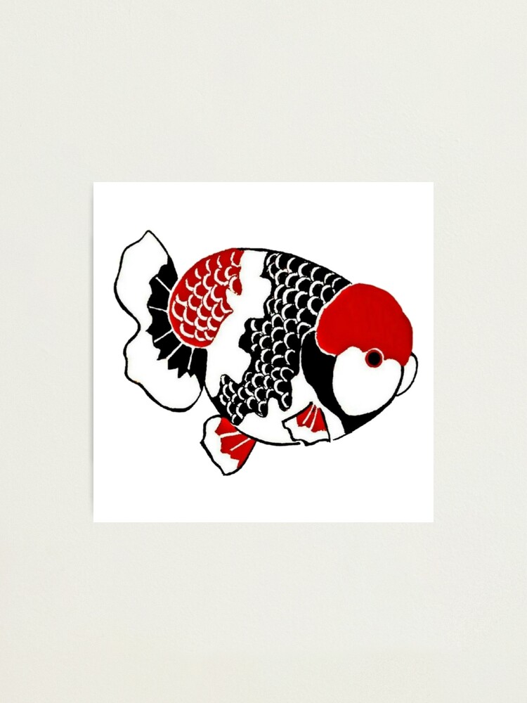 "Ranchu Tri Color Goldfish Logo" Photographic Print for Sale by Nosnah ...