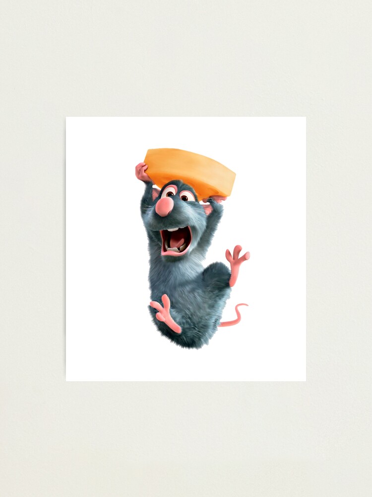"Remy Cheese" Photographic Print for Sale by Morphey22 | Redbubble