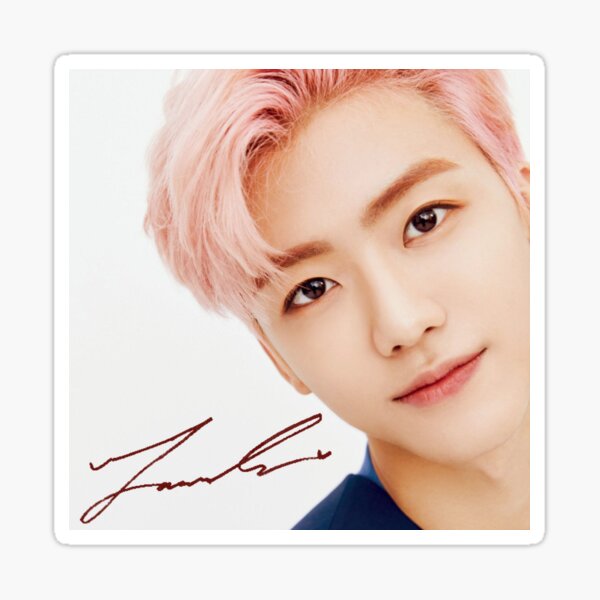 " Jaemin Signature" Sticker for Sale by amoonah44 | Redbubble