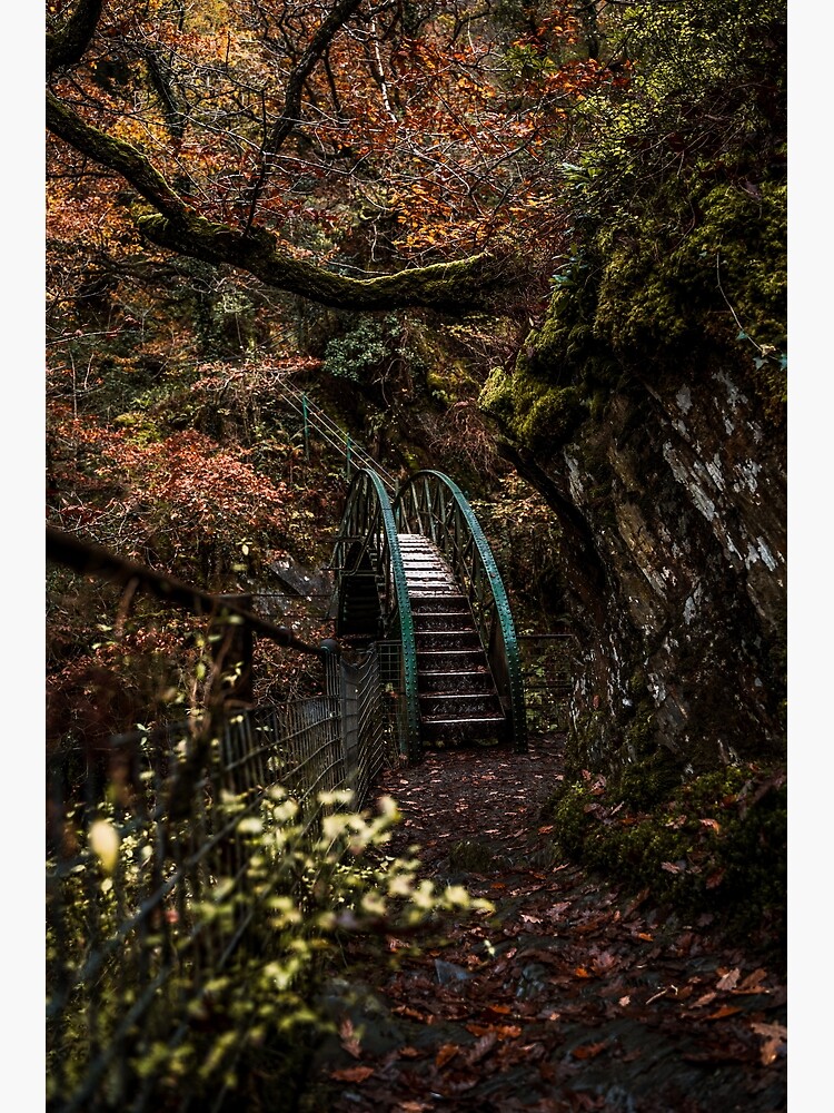 "Autumnal Bridge Scene" Poster by adamyh | Redbubble