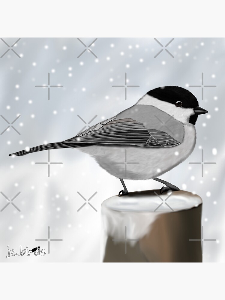 "Willow Tit Drawing Bird Art" Poster for Sale by jz-birds | Redbubble