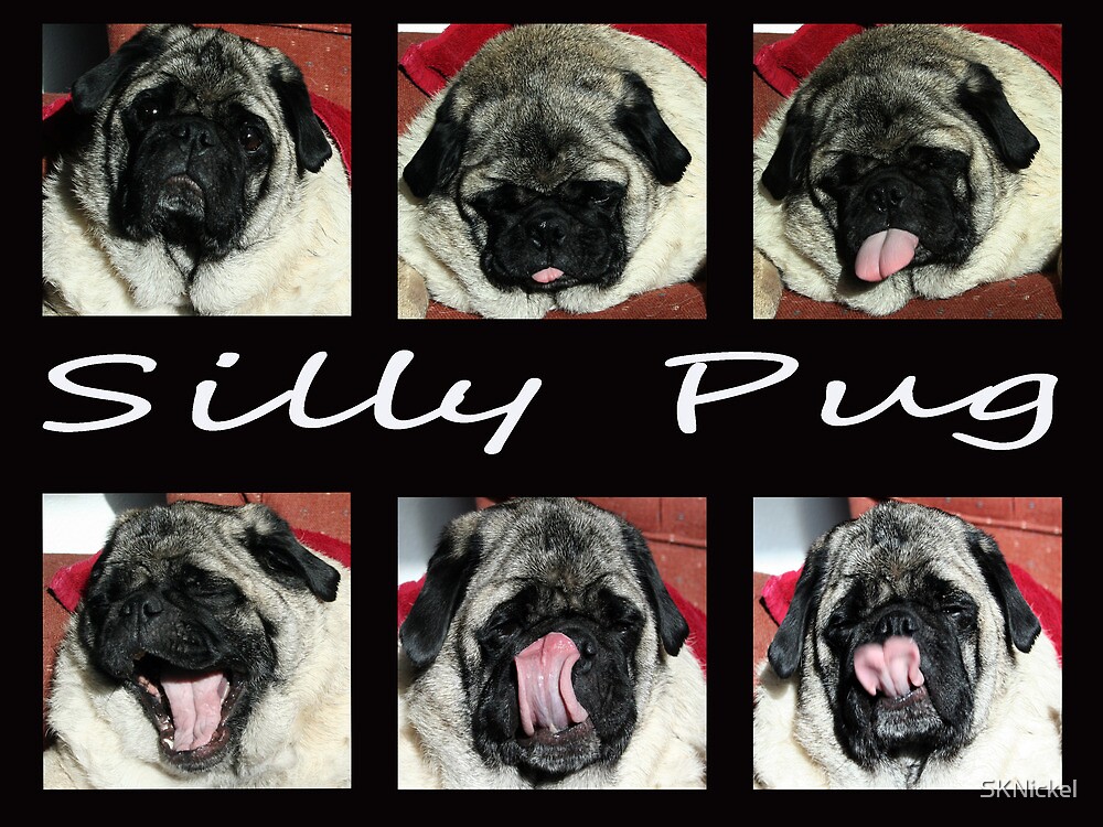 "Silly Pug" by SKNickel | Redbubble
