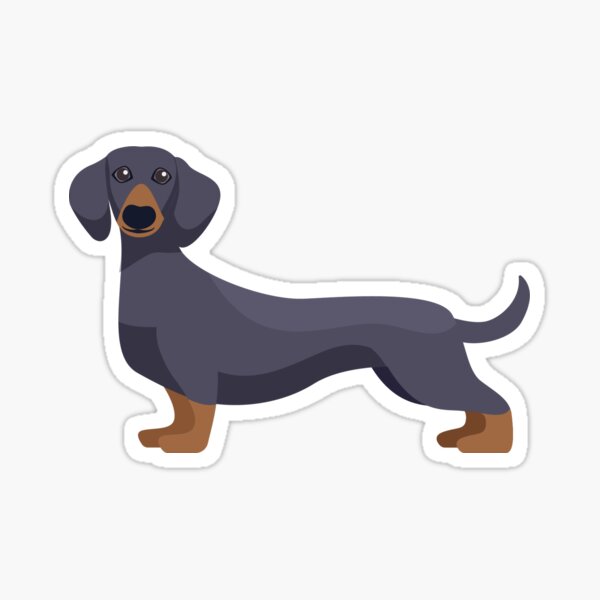 "Cute Dachshund Dog Sticker" Sticker for Sale by SatisfiedStckrs ...