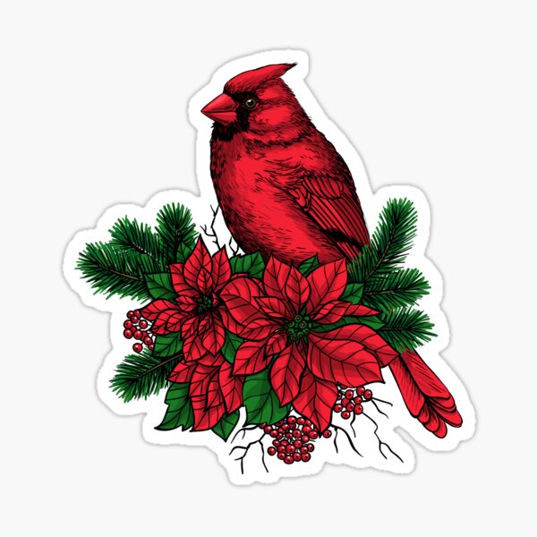 "Cardinal bird, Christmas illustration" Sticker for Sale by katerinamk ...