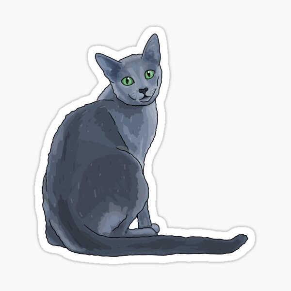 "Russian Blue Cat" Sticker for Sale by Pongidae | Redbubble