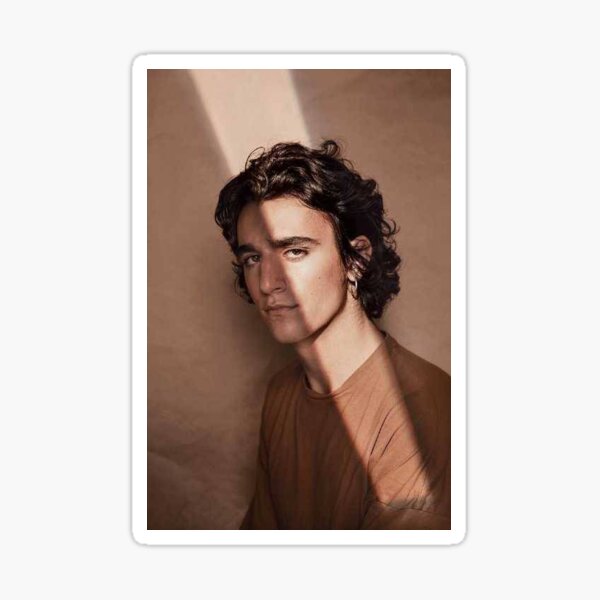 "Tamino Amir " Sticker by jordanparryy | Redbubble