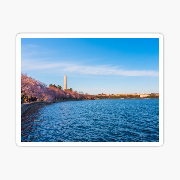 "Cherry Blossoms and Washington Monument" Sticker for Sale by srgreen ...