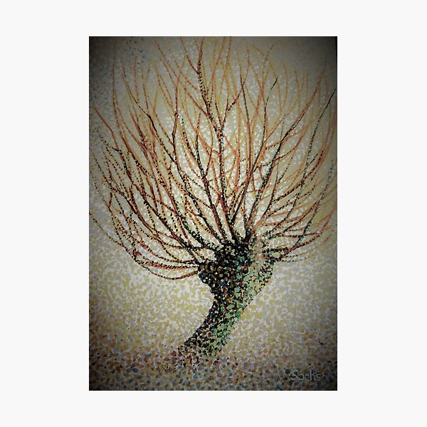 "Willow Tree Pointillism (2995)" Photographic Print by sachsart | Redbubble