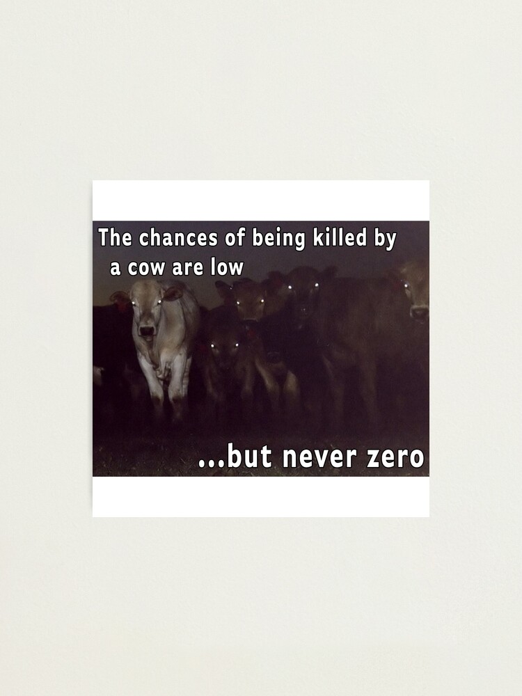"but never zero" Photographic Print for Sale by reevveerr | Redbubble