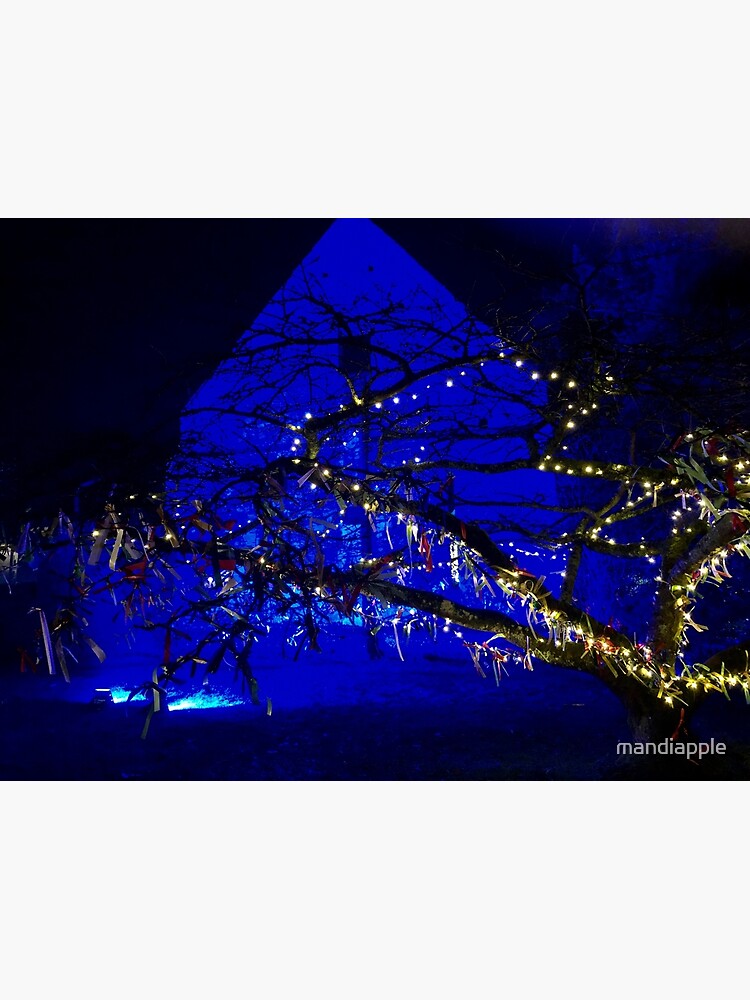 "the wishing tree" Poster by mandiapple | Redbubble