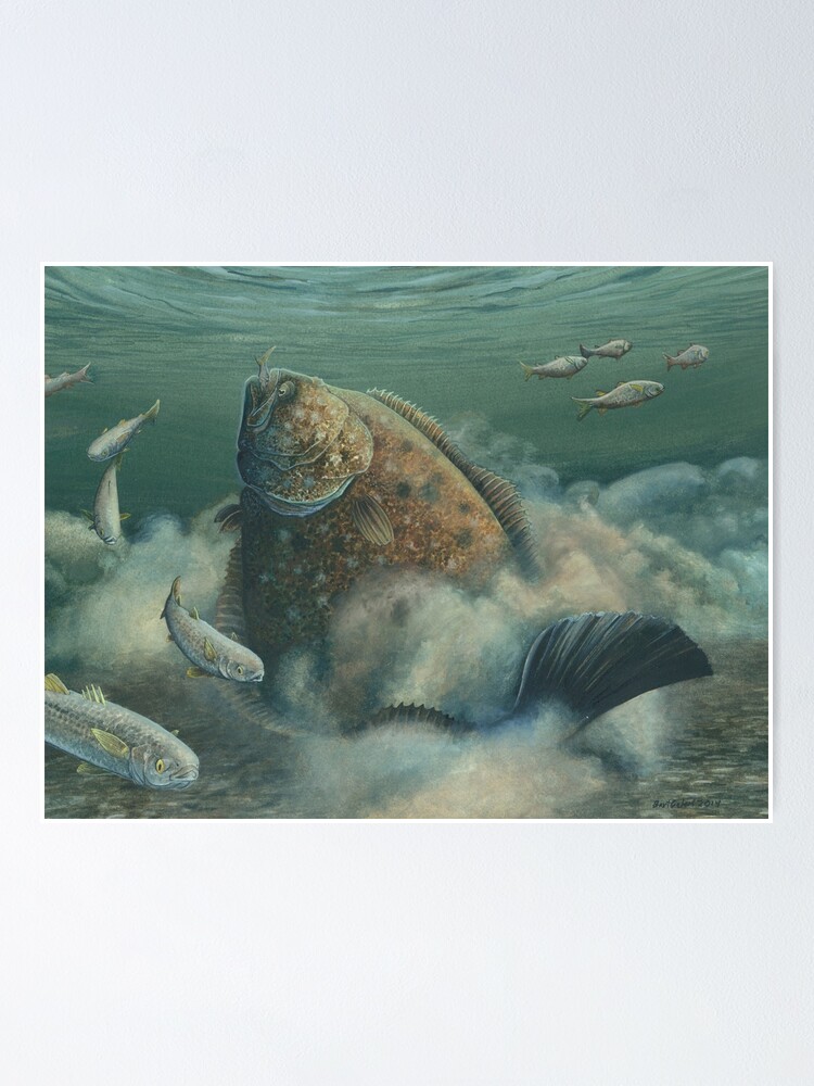 "Fluke Attack!" Poster by bartgelesh | Redbubble