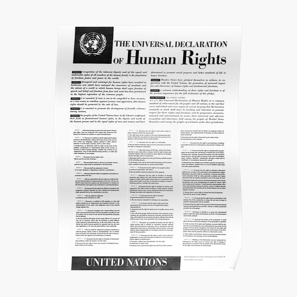 Universal Declaration Of Human Rights Posters | Redbubble