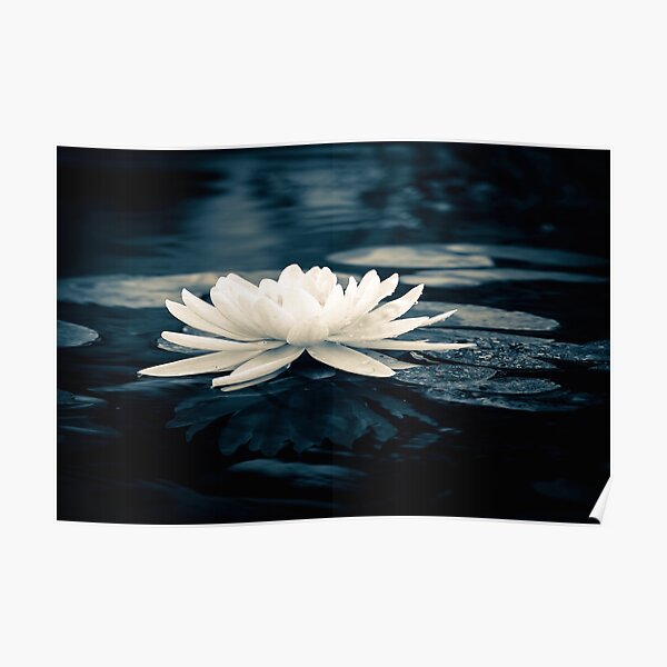 "Pure" Poster for Sale by TheMeeps | Redbubble