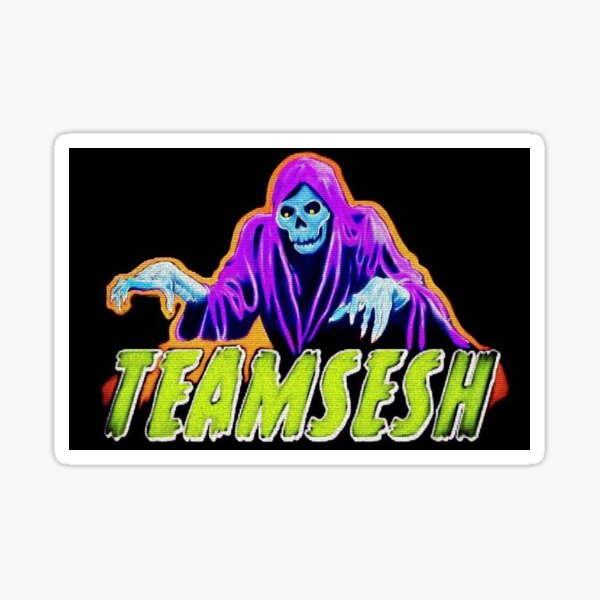 Teamsesh Merch & Gifts for Sale | Redbubble