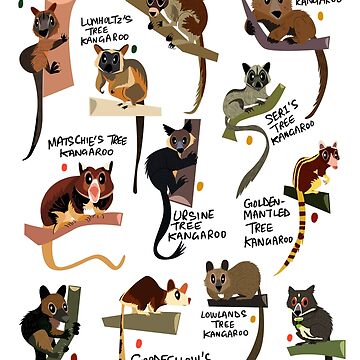 "Tree Kangaroos" Poster for Sale by rohanchak | Redbubble