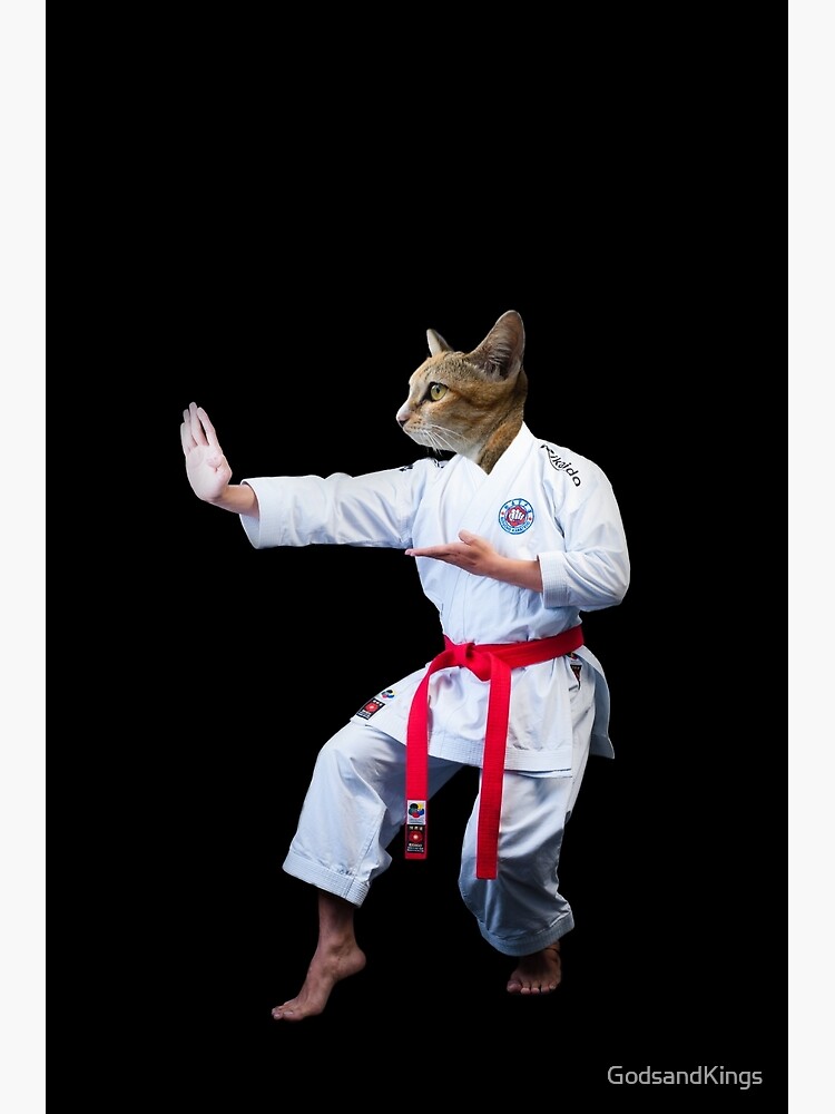 "Karate Cat" Poster for Sale by GodsandKings | Redbubble