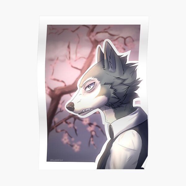 Beastars Furry Wolf Legoshi Posters | Redbubble