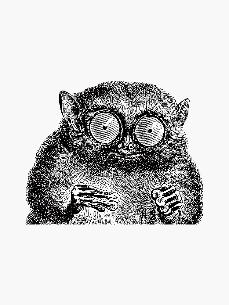 "Tarsier" Sticker by QuillRegister | Redbubble