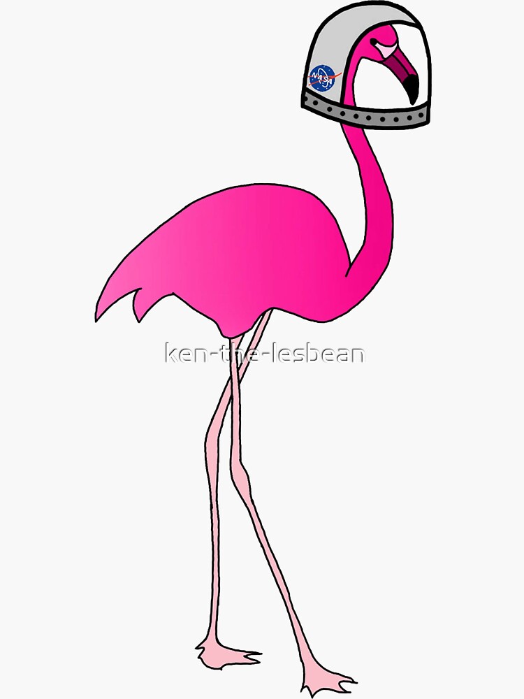"space flamingo" Sticker for Sale by ken-the-lesbean | Redbubble