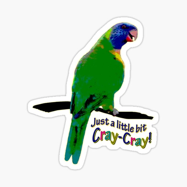 "Lorikeet Cray-Cray" Sticker for Sale by BraveNewArt | Redbubble