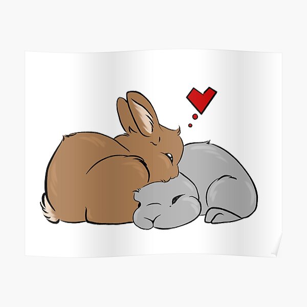 "Bunny cuddle" Poster by Originalart1 | Redbubble