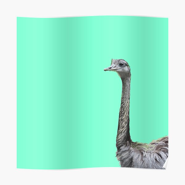 "Rhea Design with Aqua Menthe background" Poster for Sale by Imladris01 ...