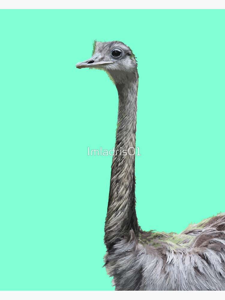 "Rhea Design with Aqua Menthe background" Sticker for Sale by ...