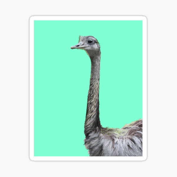"Rhea Design with Aqua Menthe background" Sticker for Sale by ...