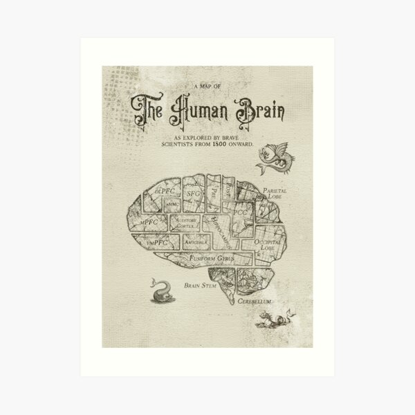 "A Map of the Human Brain" Art Print for Sale by Edenbeast | Redbubble