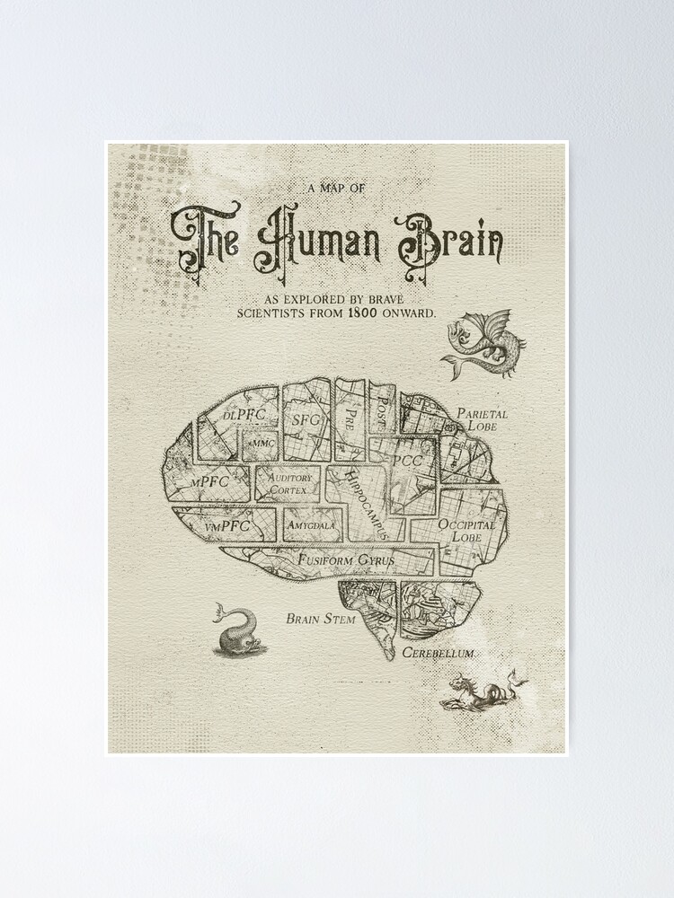 "A Map of the Human Brain" Poster for Sale by Edenbeast | Redbubble