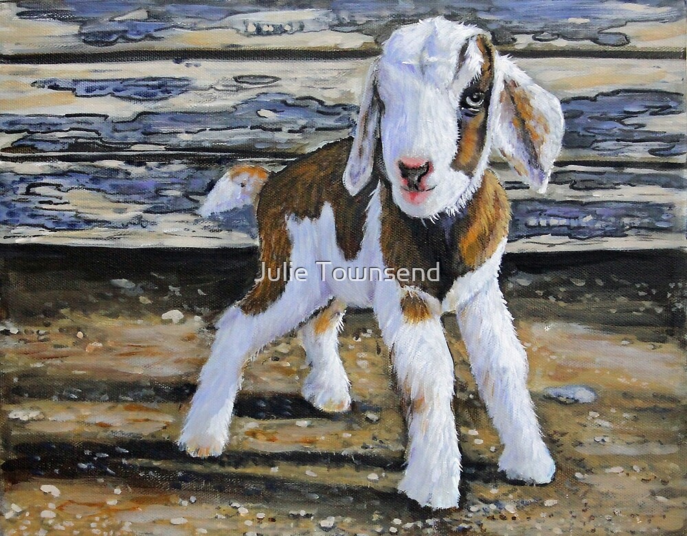 "Face of Mace" by Julie Townsend | Redbubble