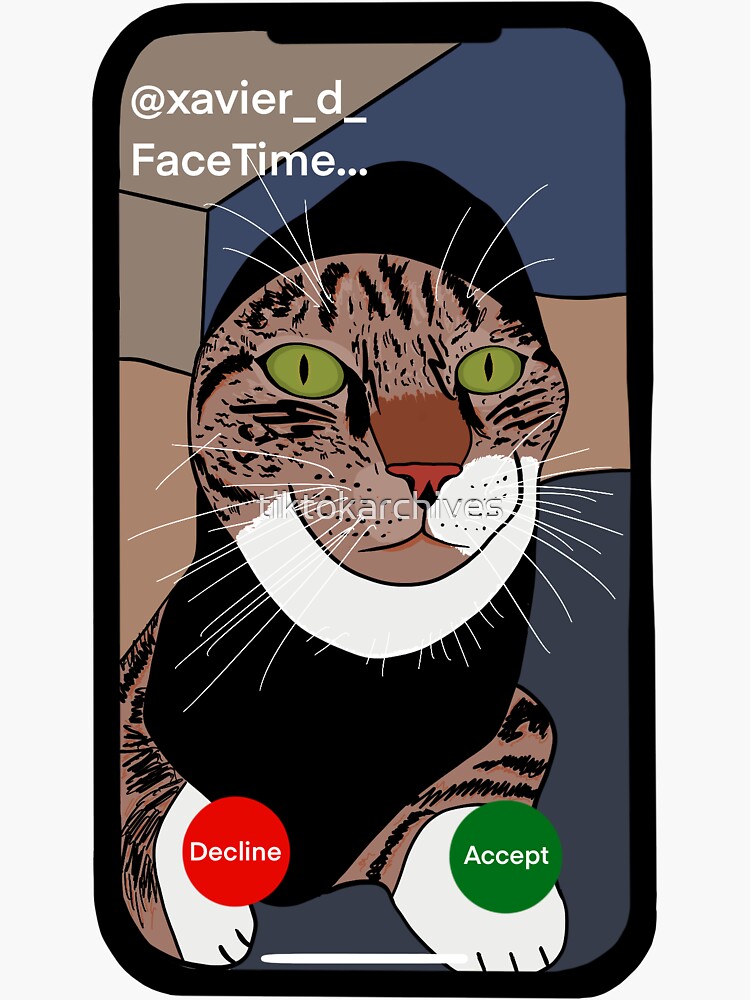 "Facetime Cat Sticker" Sticker for Sale by tiktokarchives | Redbubble