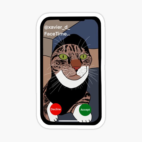 "Facetime Cat Sticker" Sticker for Sale by tiktokarchives | Redbubble