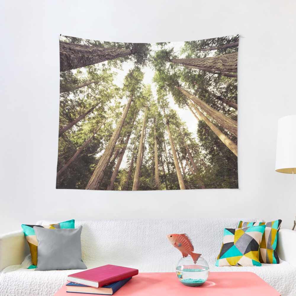 "Forest Sky - The Canopy" Tapestry for Sale by artcascadia | Redbubble
