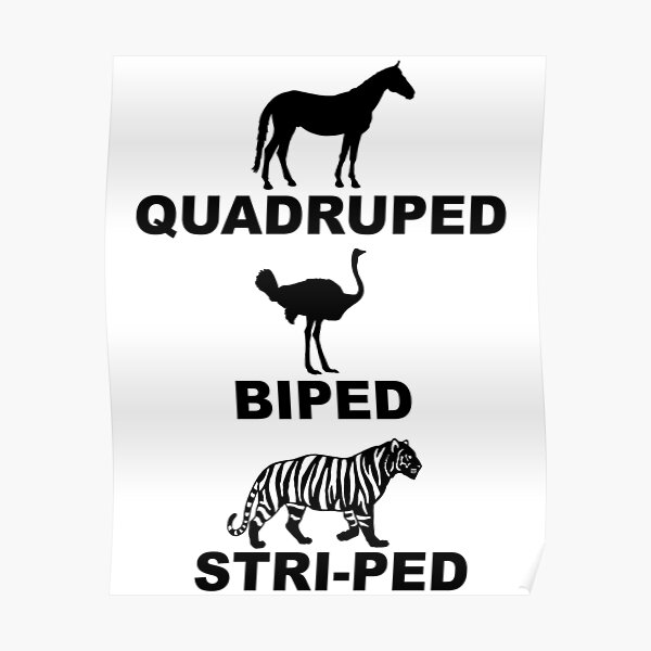 "Quadruped Biped Stri-ped Funny Zoology Horse Ostrich Tiger" Poster by ...