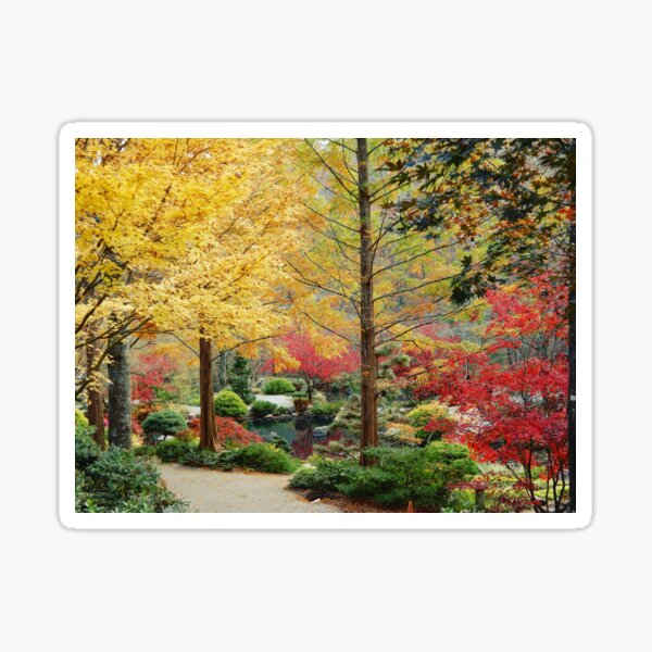 "Vibrant Canopy " Sticker for Sale by alina-war | Redbubble
