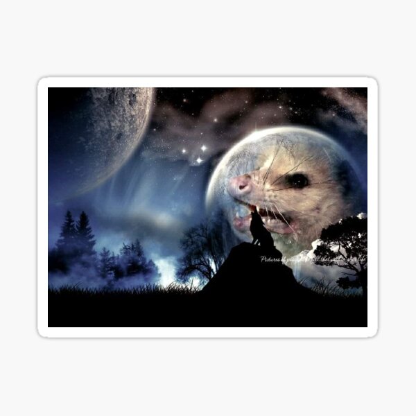 "Screaming moon " Sticker by Spicypossums | Redbubble